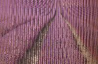 dukta® | fk Kolar Wooden mouldings